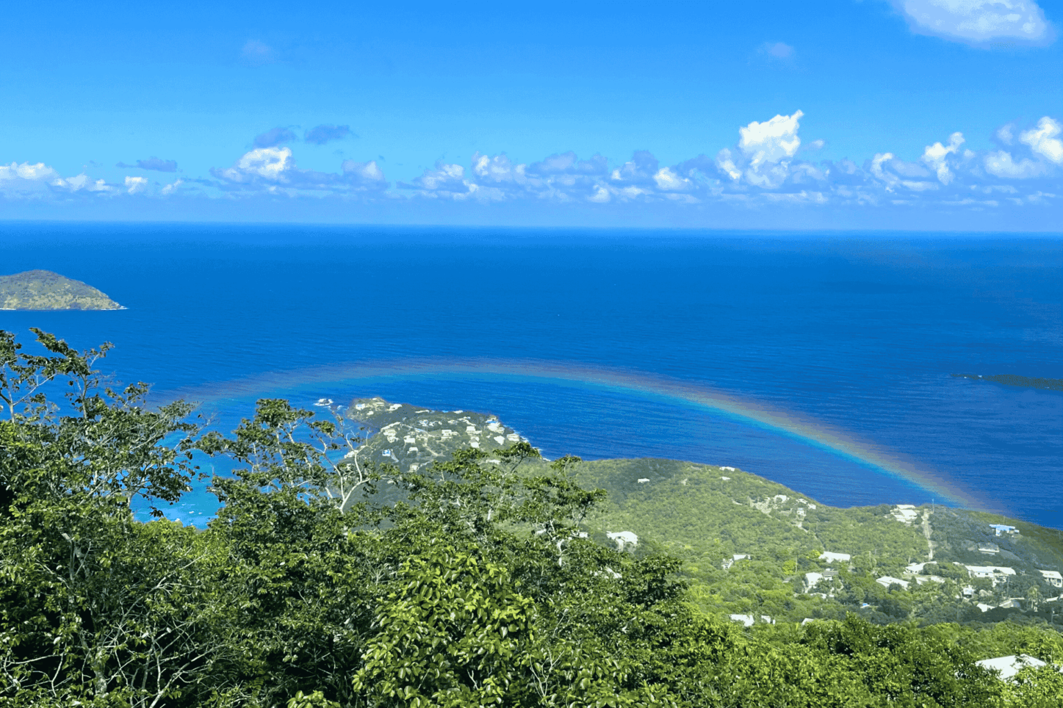 Things to do in St. Thomas when it rains - Tree Limin Extreme